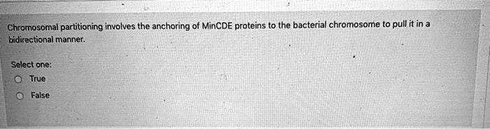 Chromosomal partitioning involves the anchoring of MinCDE proteins to ...