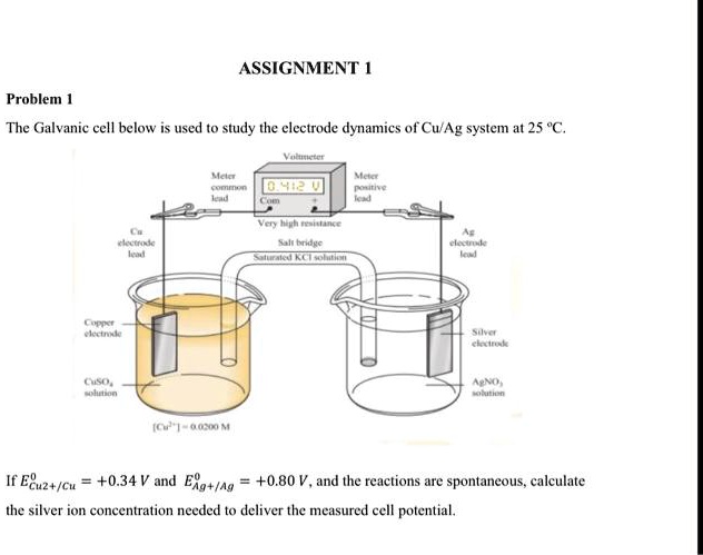 SOLVED: Assignment 1 Problem 1 The Galvanic cell below is used to study ...