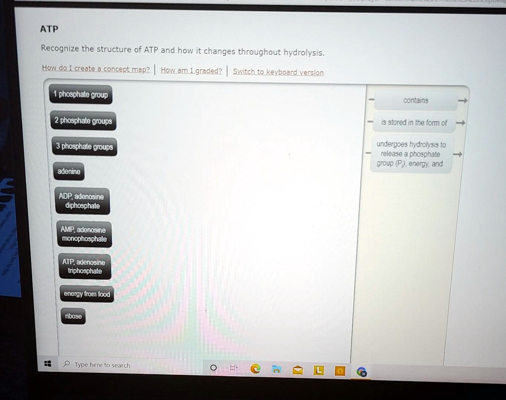 atp recognize the structure of atp and how it changes throughout ...