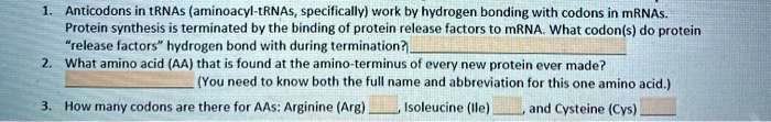 Solved Anticodons In Rnas Arinoacyl Trnas Specilically Work By Hydrogen Bonding With Codons