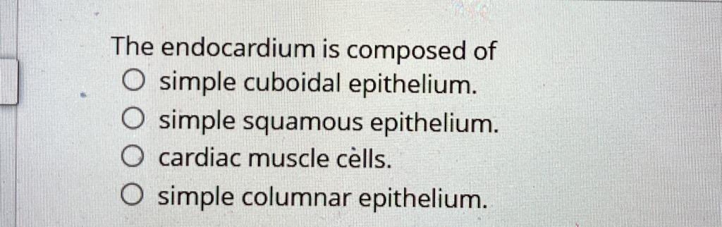 The endocardium is composed of ? simple cuboidal epithelium. ? simple ...