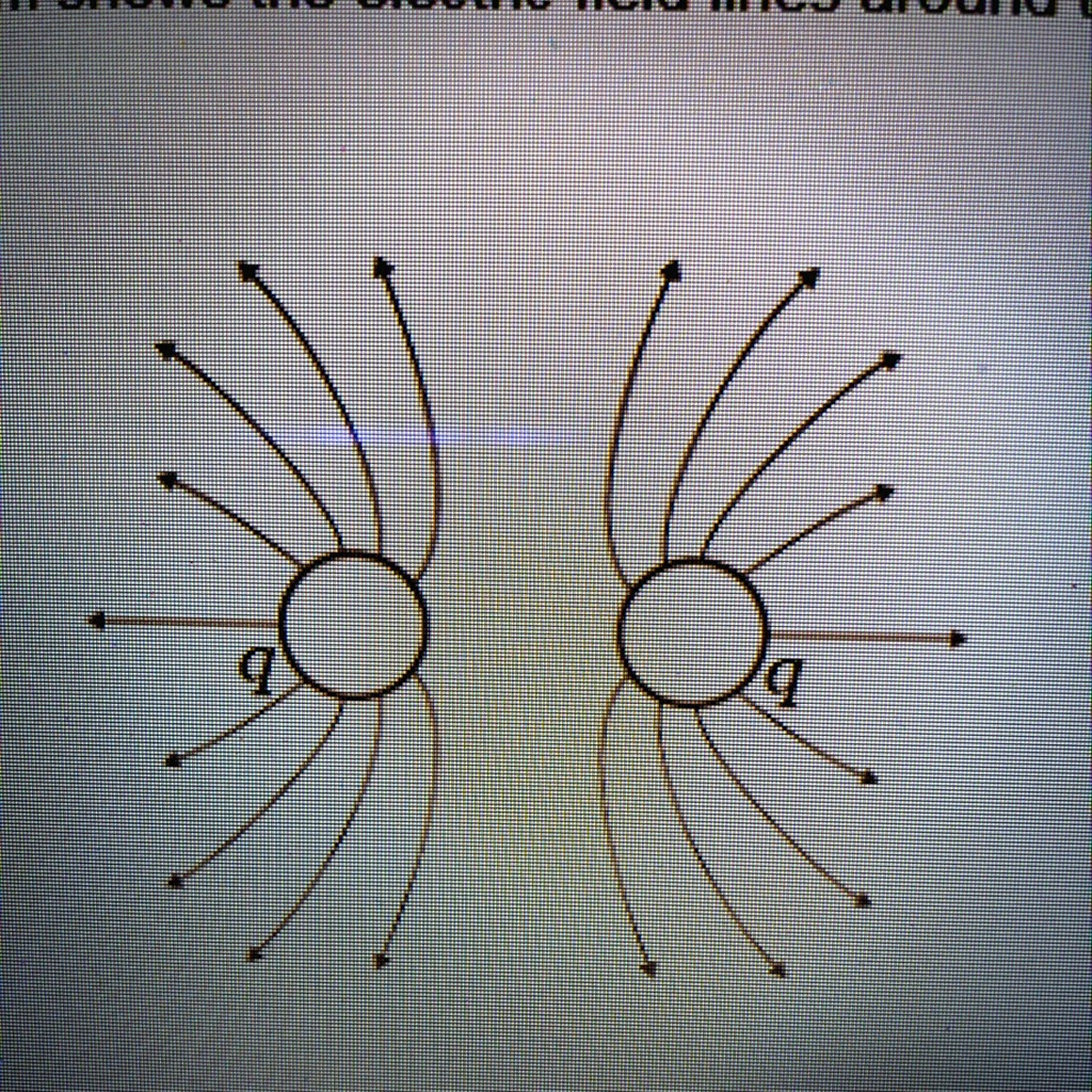 the diagram shows the electric field lines around two charges based on ...