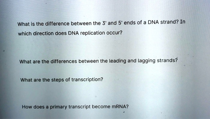 SOLVED: What is the difference between the 3' and 5' ends of a DNA ...