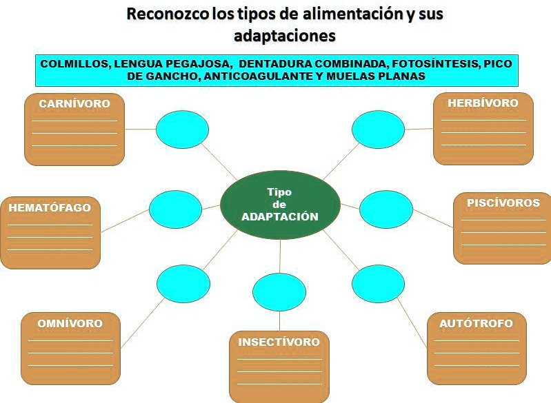 SOLVED: Ayudenme plis,es para ahorita uwu Reconozcolos tipos de ... SOLVED: Ayudenme plis,es para ahorita uwu Reconozcolos tipos de ...
