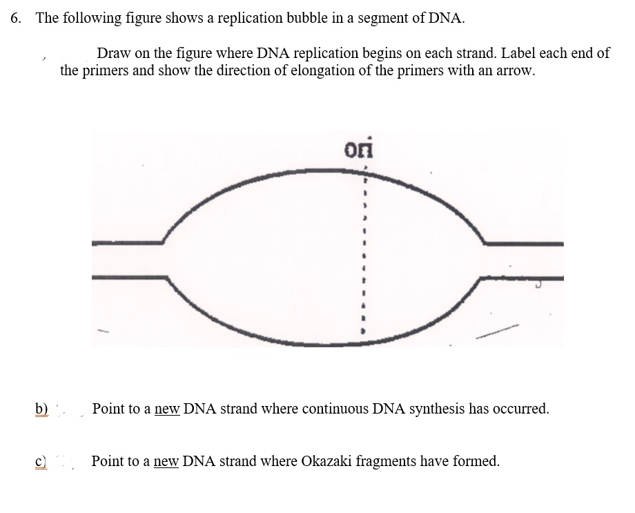 SOLVED: The following figure shows a replication bubble in a segment of ...