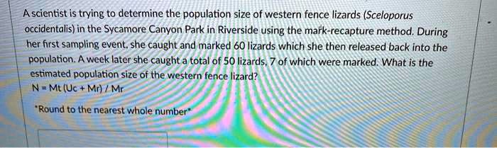 SOLVED: Ascientist is trying to determine the population size of ...