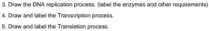 3. Draw the DNA replication process. (label the enzymes and other requirements) 4. Draw and ...