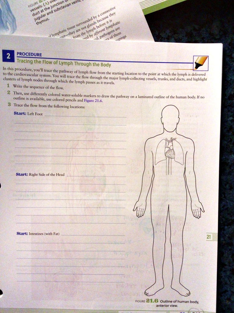 SOLVED: Texts: At the thymus, anping PROCEDURE: Tracing the Flow of ...