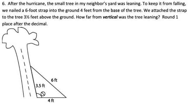after the hurricane the small tree in my neighbor vard was leaning to ...