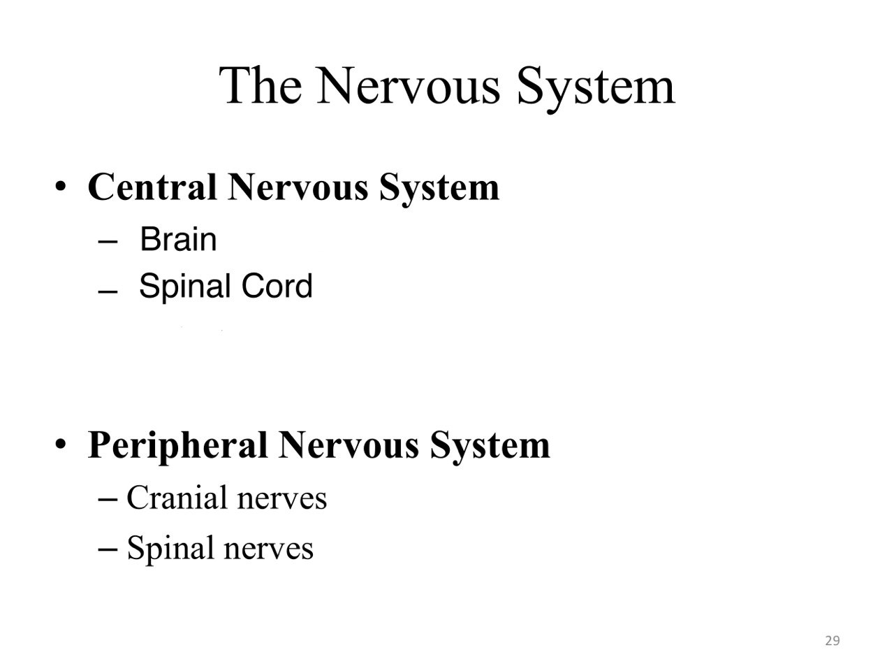 the nervous system central nervous system brain spinal cord peripheral ...