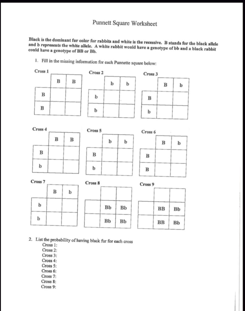 SOLVED: 'Fill in the missing information for each Punnett square below ...