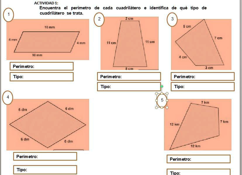 SOLVED: Ayuda por favor por favor ayudaaaa ACTIVIDAD 1: Encuentra ...