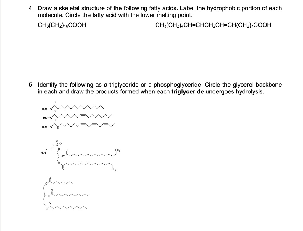 4. Draw a skeletal structure of the following fatty acids. Label the ...