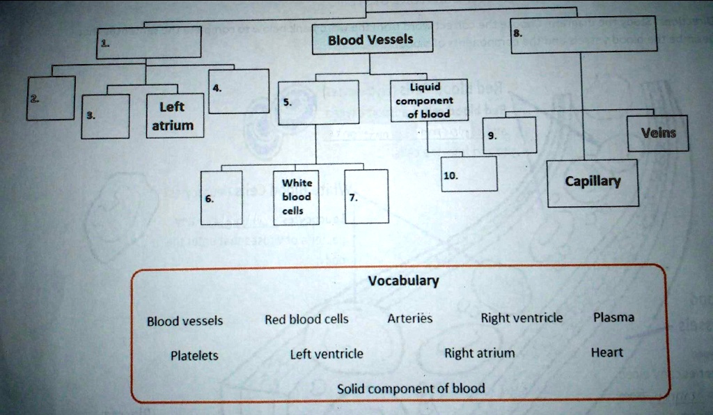 2. 3. 1. Left atrium 6. 4. 5. White blood cells Blood Vessels Liquid ...