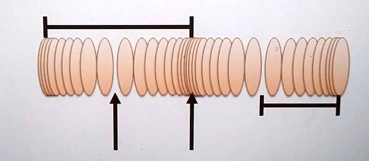 the diagram below shows a longitudinal wave at one instant in its ...
