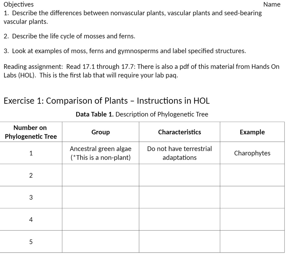 Objectives 1. Describe the differences between nonvascular plants ...