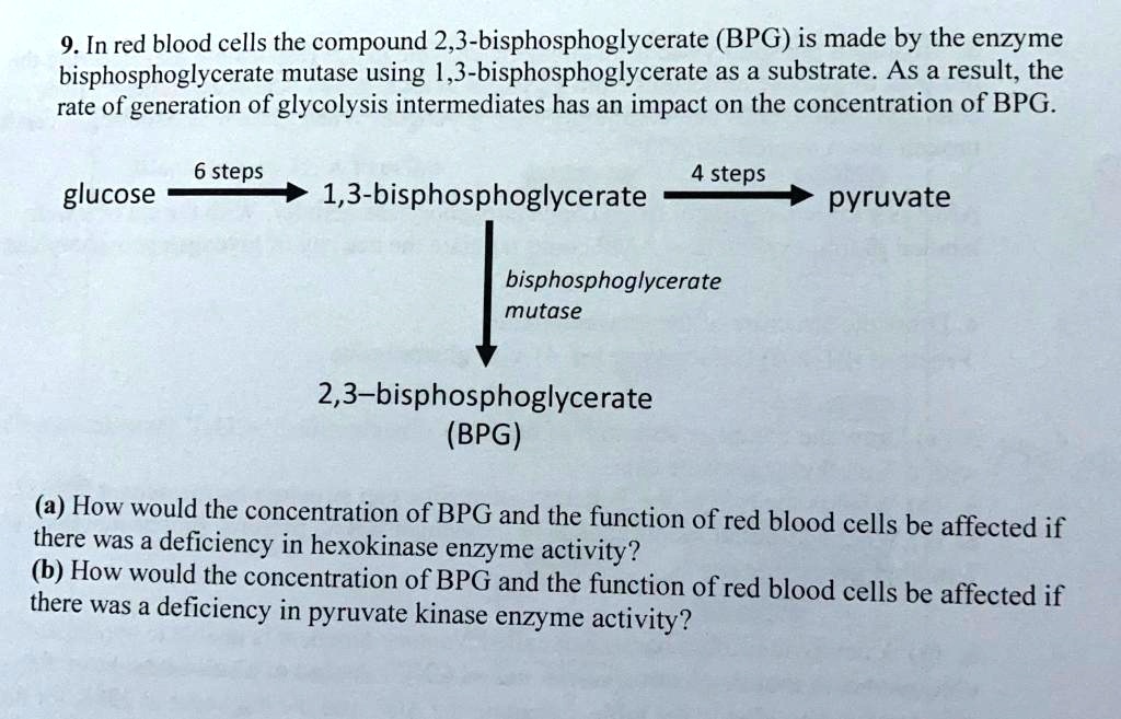 9. In red blood cells the compound 2,3-bisphosphoglycerate (BPG) is ...