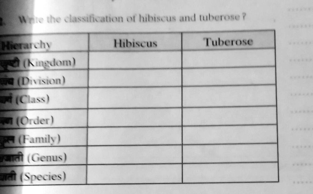 SOLVED: 'write the classification of hibiscus and tuberose?'