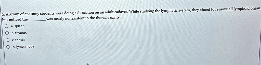 a group of anatomy students were doing a dissection on an adult cadaver ...