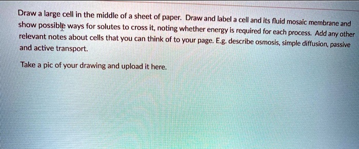 draw large cell in the middle of a sheet of paper draw and label show ...