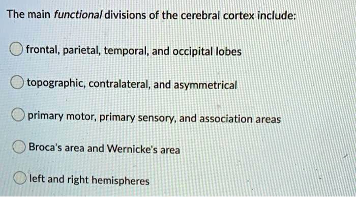 The main functional divisions of the cerebral cortex include: frontal ...