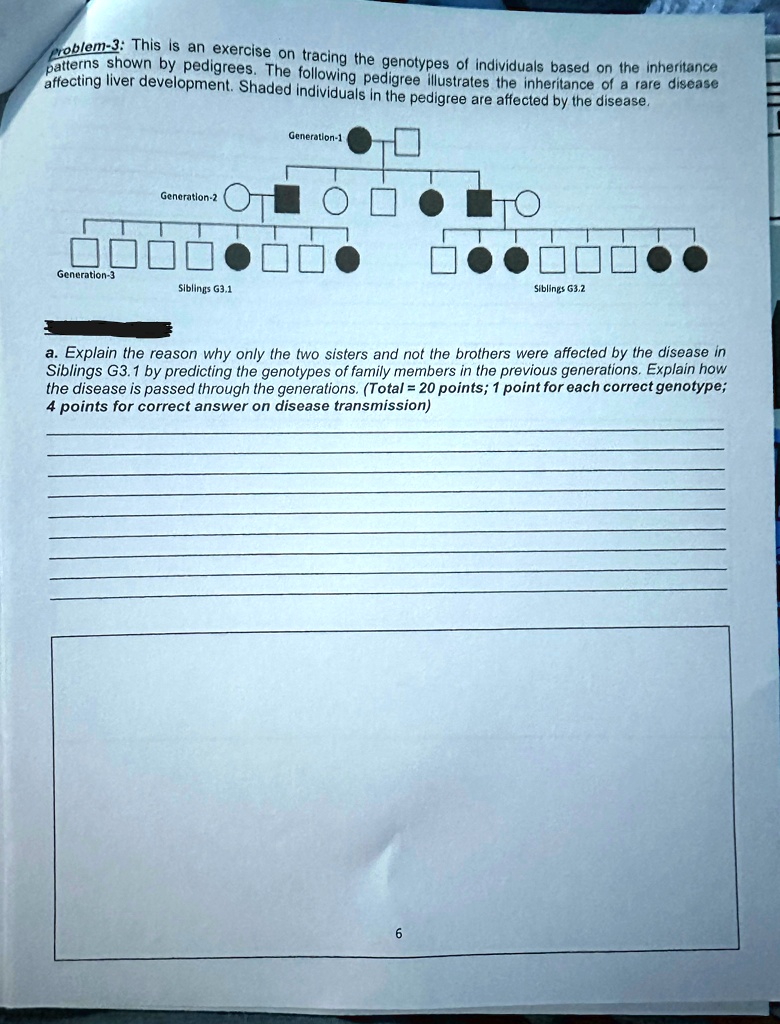 problem 3 this is an exercise on tracing the genotypes of individuals ...