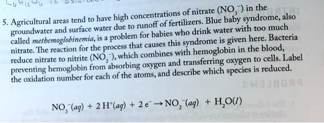 SOLVED:of nitrate (NO ) in the tend to have high concentrations; 5 ...