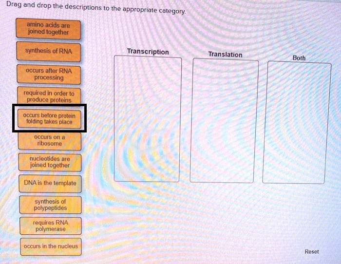 drag and drop the descriptions to the ppropriate calegory amino acids ...