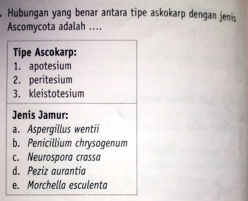 materi bab jamur biologi kelas x hubungan yang benar antara tipe ...
