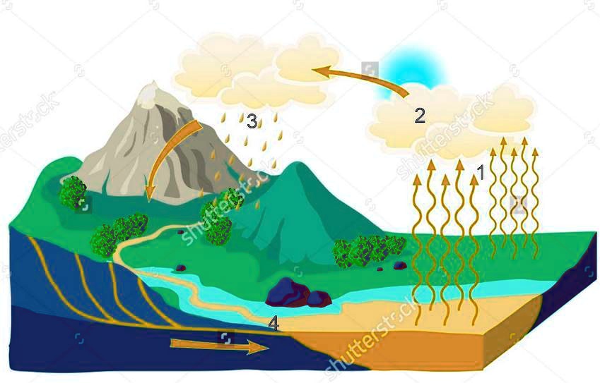 using the water cycle diagram match the number with the following ...