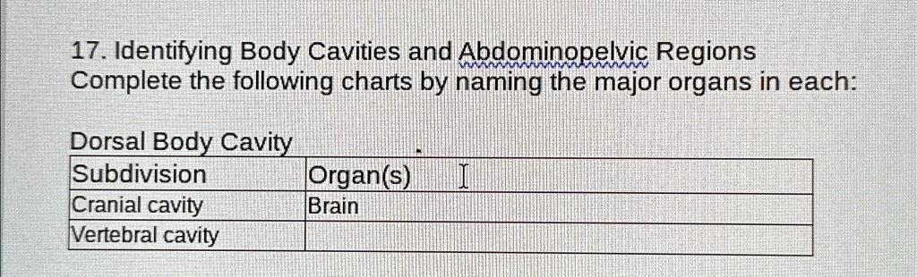 SOLVED: Dorsal Body Cavity Subdivision Organ(s) Cranial cavity Brain ...