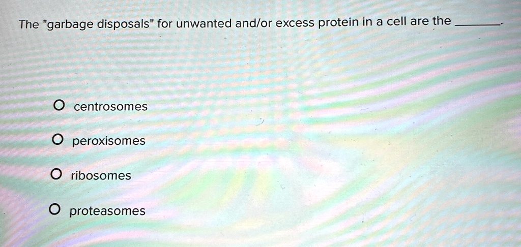 The "garbage disposals" for unwanted and/or excess protein in a cell ...