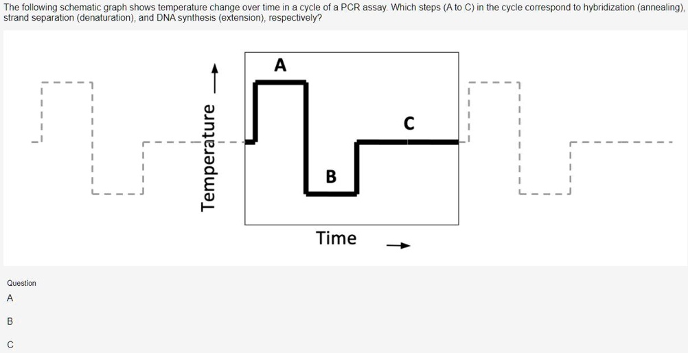 SOLVED: The following schematic graph shows temperature change over time in a cycle of a PCR ...