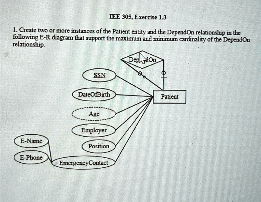 IEE 305, Exercise 1.3 1. Create two or more instances of the Patient entity and the Dependon ...