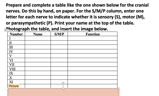 Prepare and complete a table like the one shown below for the cranial ...