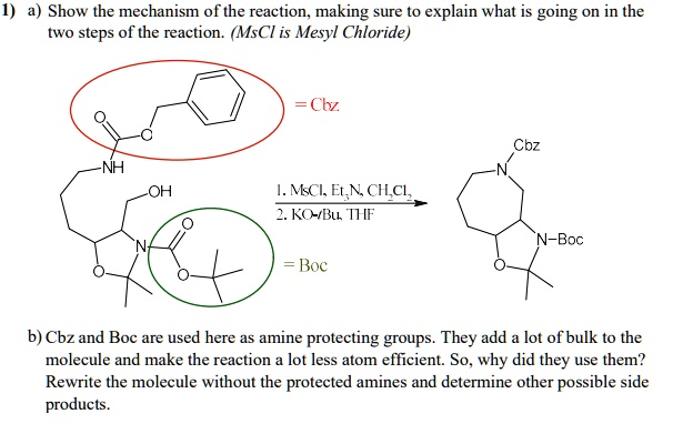 SOLVED: a) Show the mechanism of the reaction, making sure to explain ...