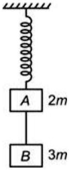SOLVED: 'Two blocks A and B of mass 2m and 3m respectively are connected by a massless string ...