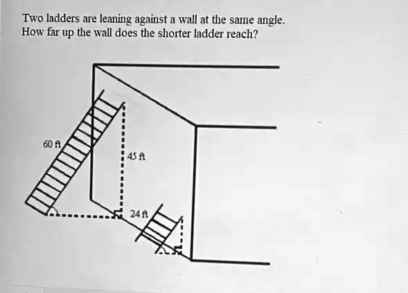 SOLVED: Two ladders are leaning against wall at tle same angle. How far ...