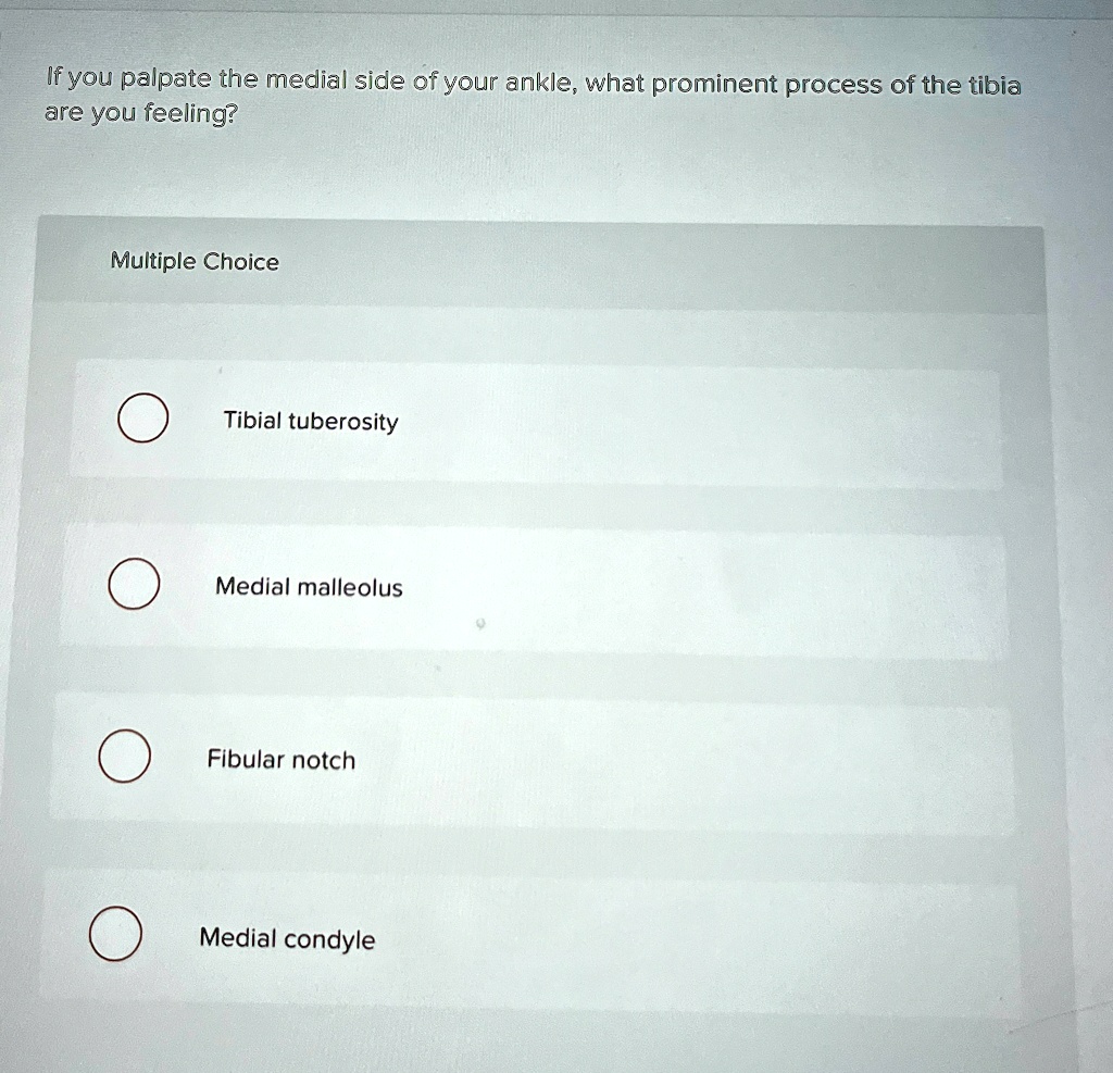 if you palpate the medial side of your ankle what prominent process of ...