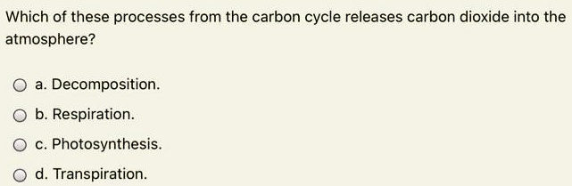SOLVED: Which of these processes from the carbon cycle releases carbon ...