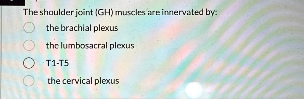 The shoulder joint (GH) muscles are innervated by: the brachial plexus ...