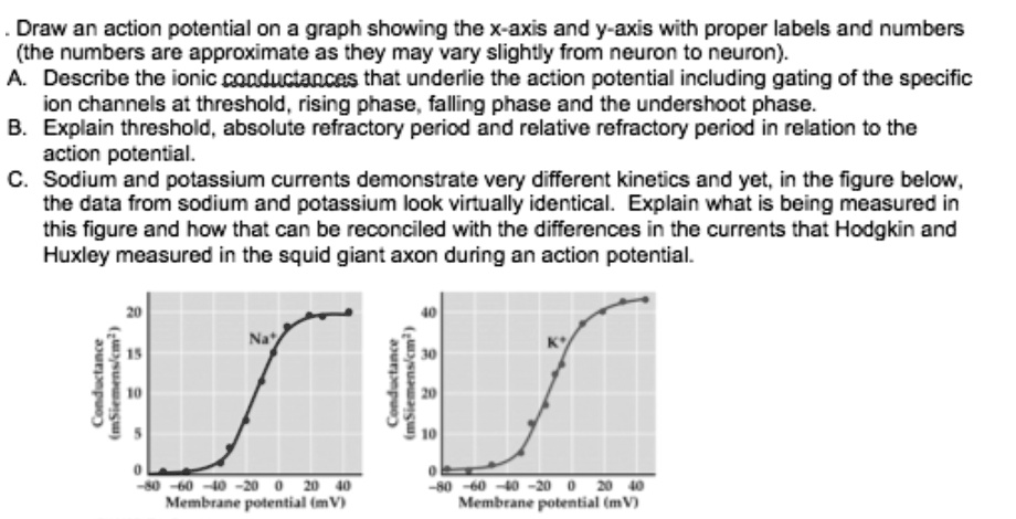 . Draw an action potential on a graph showing the x-axis and...