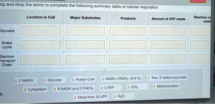 ag and drop the terms to complete the following summary table of ...