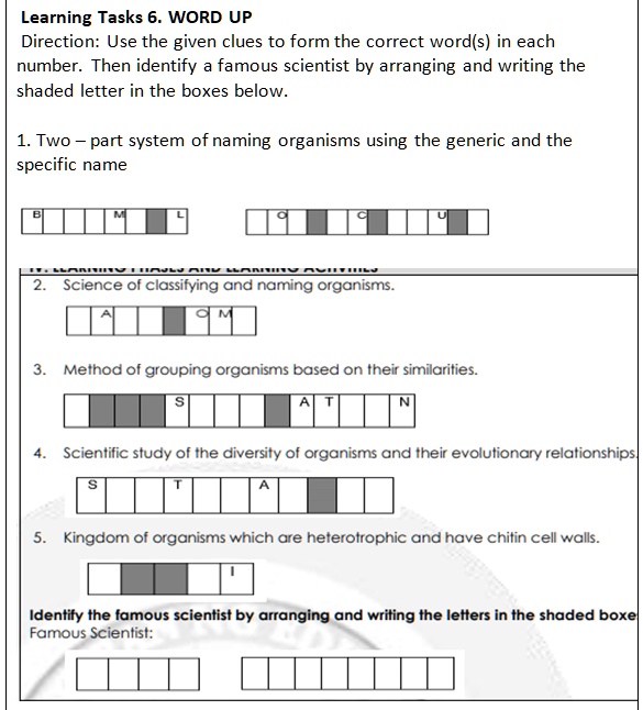 learning tasks 6 word up direction use the given clues to form the correct words in each number ...