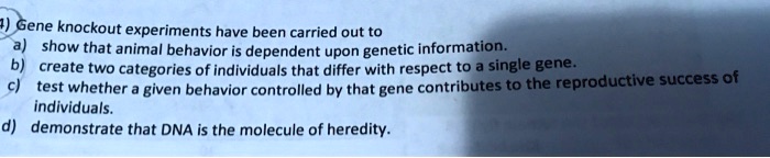 SOLVED:') Gene knockout experiments have been carried out to show that ...