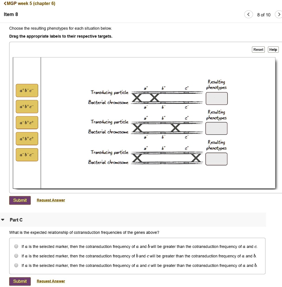 mgp week 5 chapter 6 item 8 8 of 10 choose the resulting phenotypes for ...