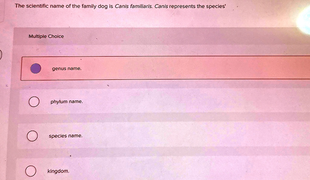 the scientific name of the family dog is canis familiaris canis ...