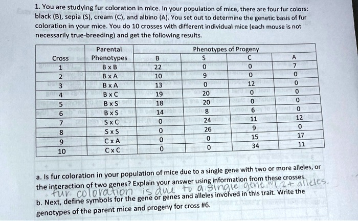 SOLVED: You are studying fur coloration in mice. In vour population of ...