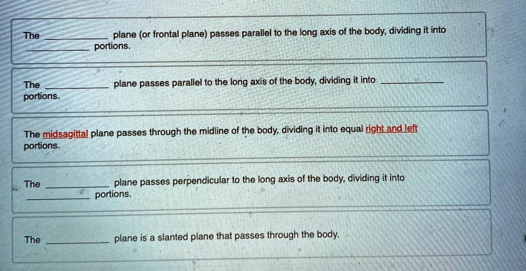 The plane (or frontal plane) passes parallel to the long axis of the ...