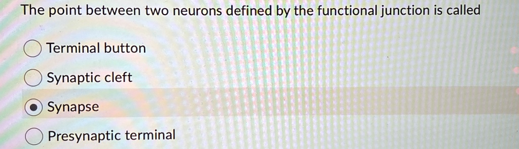 The point between two neurons defined by the functional junction is ...